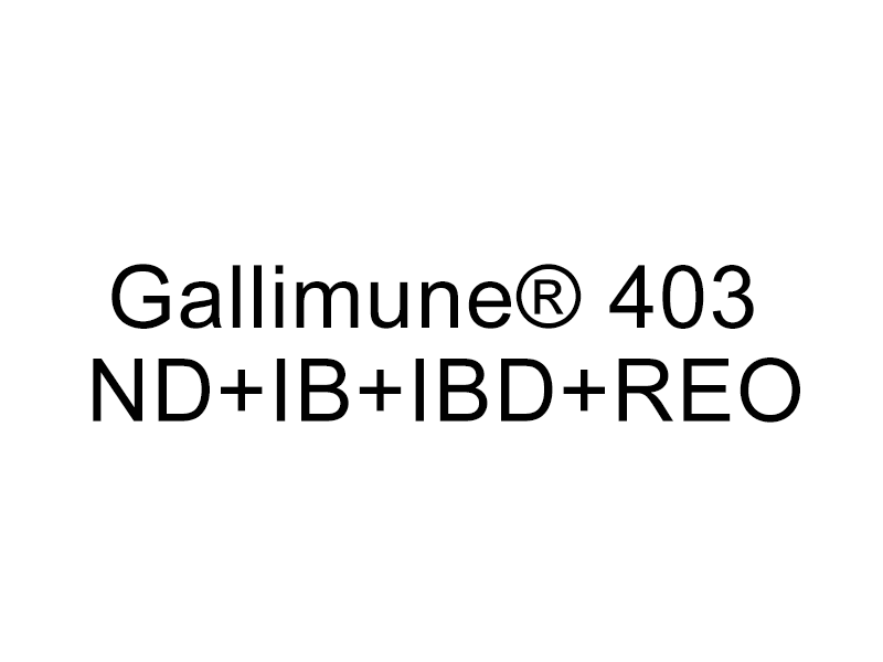 GALLIMUNE® 403 ND+IB+IBD+REO | Boehringer Ingelheim SA