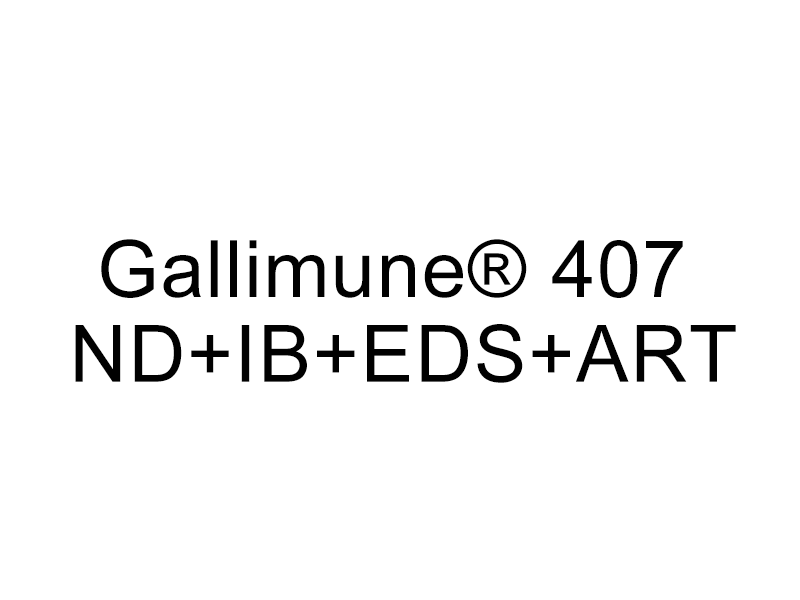 GALLIMUNE® 407 ND+IB+EDS+ART | Boehringer Ingelheim SA
