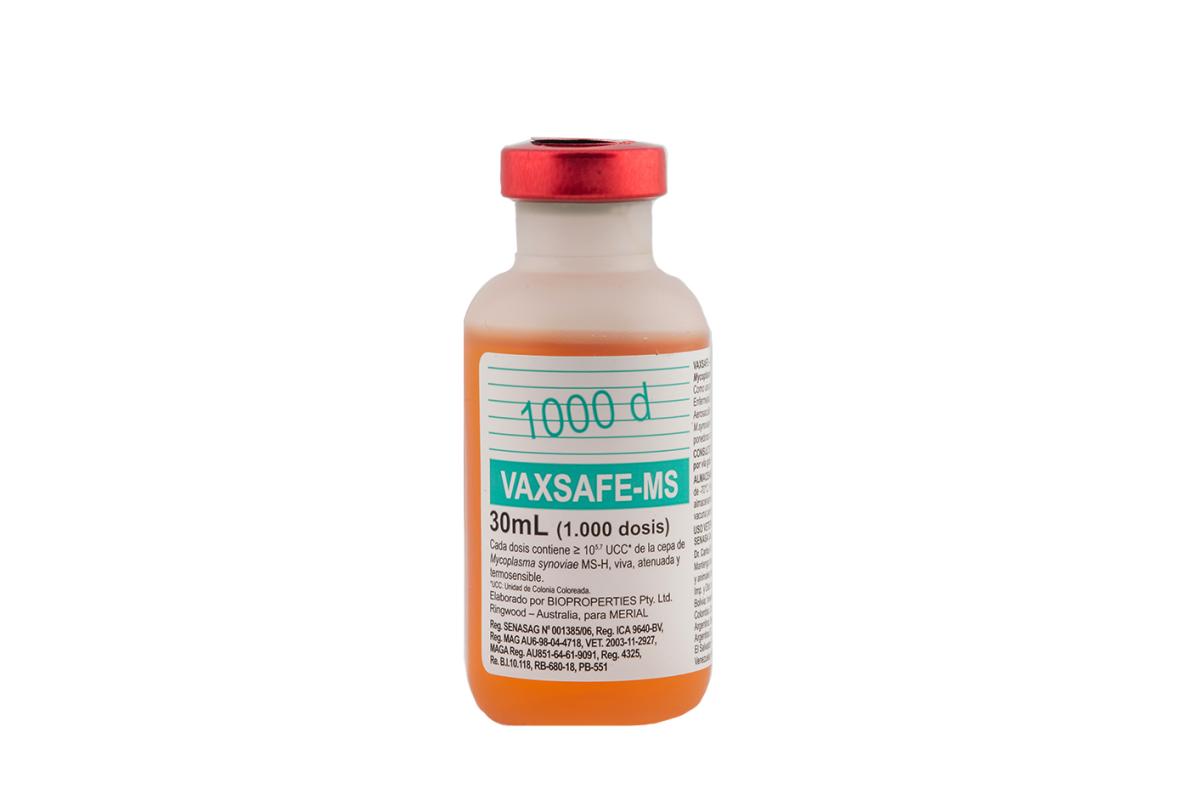 Vaxsafe® | Boehringer Ingelheim SA