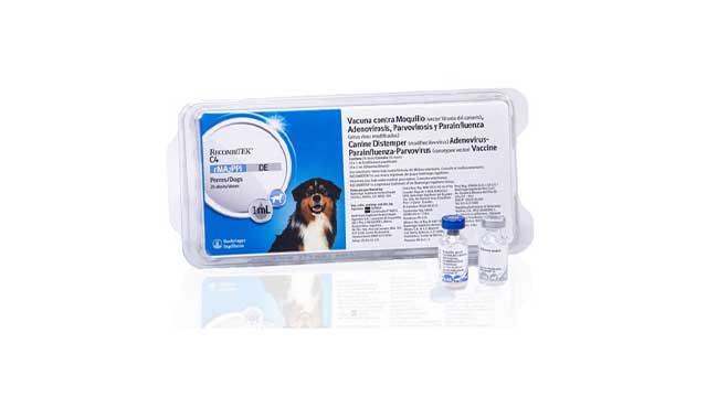 Recombitek® C4 | Boehringer Ingelheim SA