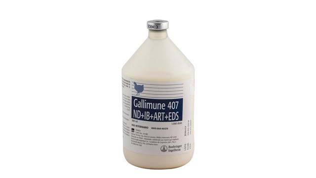 Gallimune® 407 ND + IB + EDS + ART | Boehringer Ingelheim SA