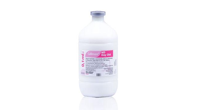 GALLIMUNE® ND DAY OLD | Boehringer Ingelheim SA