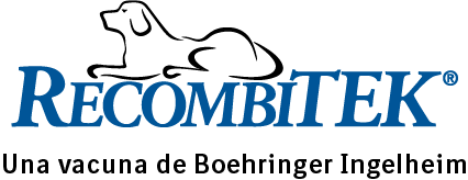 RECOMBITEK® C6 CV | Boehringer Ingelheim SA