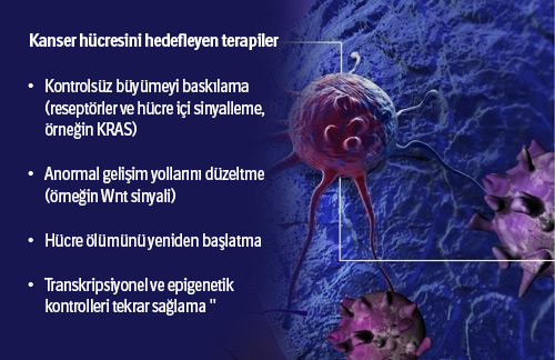 Onkoloji İnovasyonları ve Kanser İmmünolojisi Araştırmaları ...