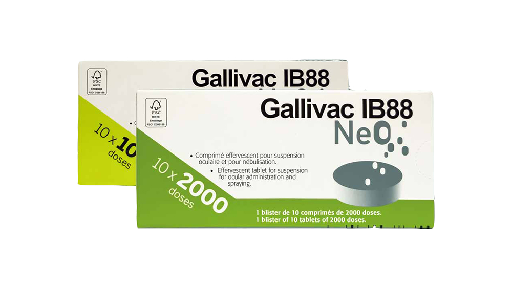 家禽 Poultry | Boehringer Ingelheim