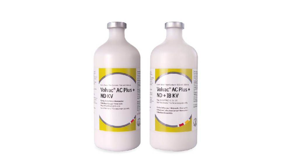 家禽 Poultry | Boehringer Ingelheim TW