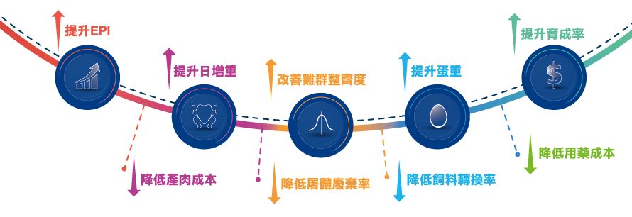 威力克 VAXXITEK HVT+IBD | Boehringer Ingelheim TW