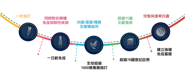 威力克 VAXXITEK HVT+IBD | Boehringer Ingelheim TW