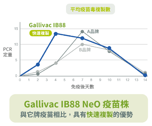 Gallivac IB88 NeO 雞傳染性支氣管炎活毒疫苗發泡錠 | Boehringer Ingelheim