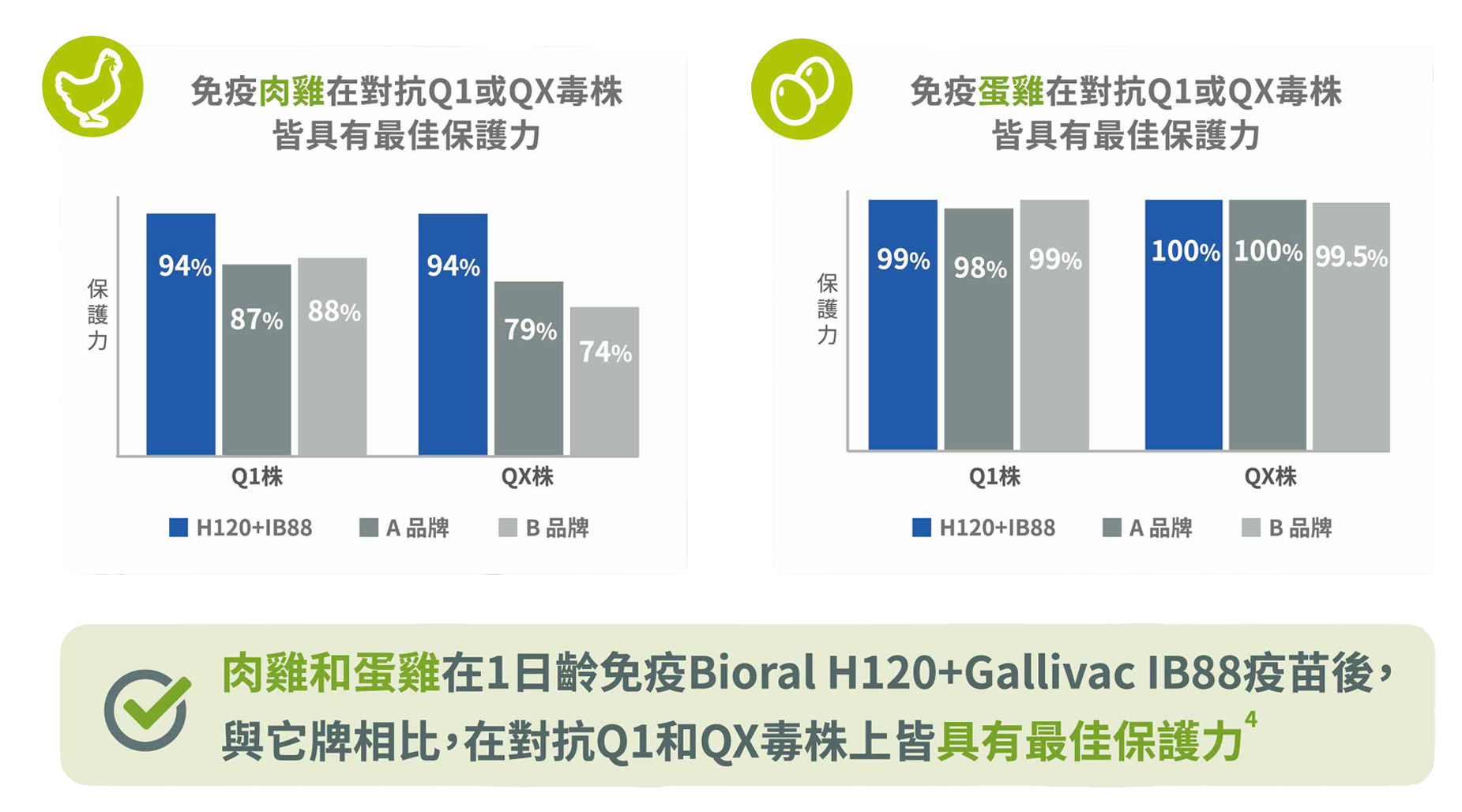 Gallivac IB88 NeO 雞傳染性支氣管炎活毒疫苗發泡錠 | Boehringer Ingelheim