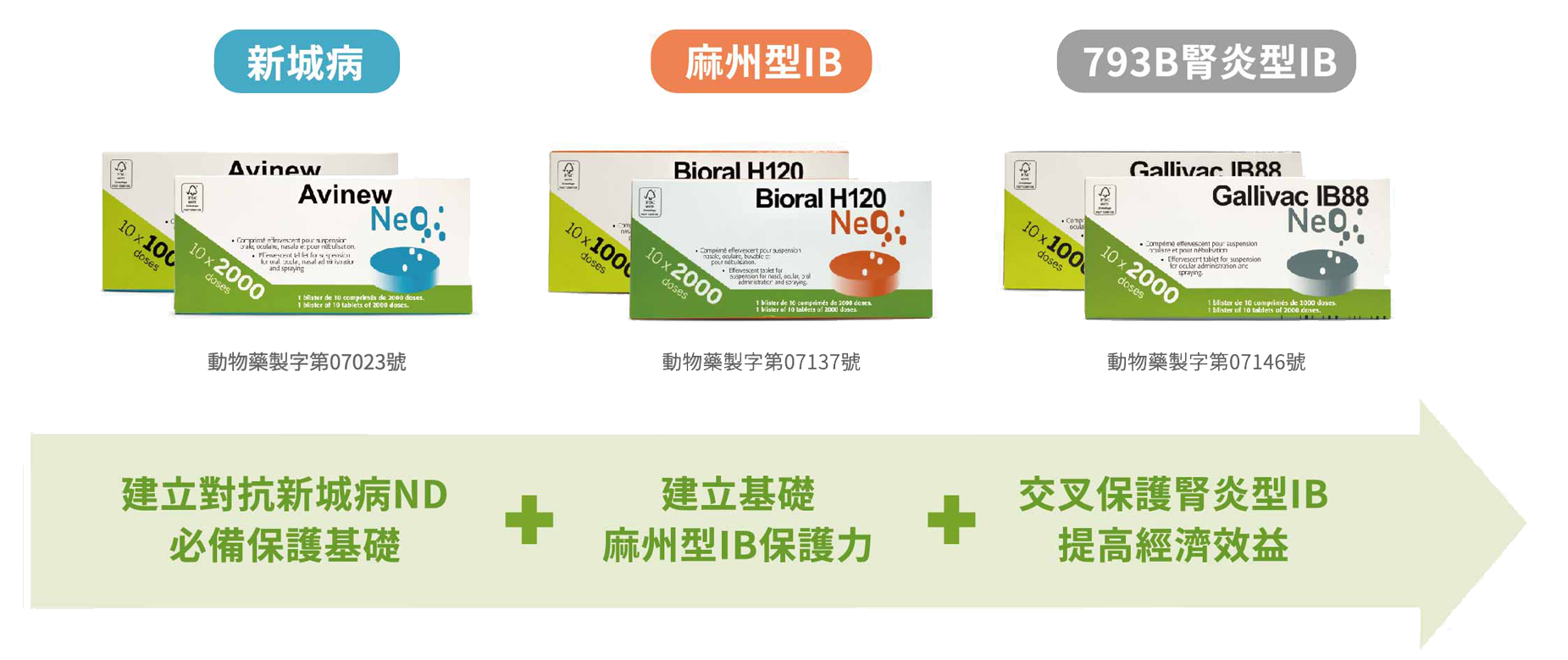 Gallivac IB88 NeO 雞傳染性支氣管炎活毒疫苗發泡錠 | Boehringer Ingelheim