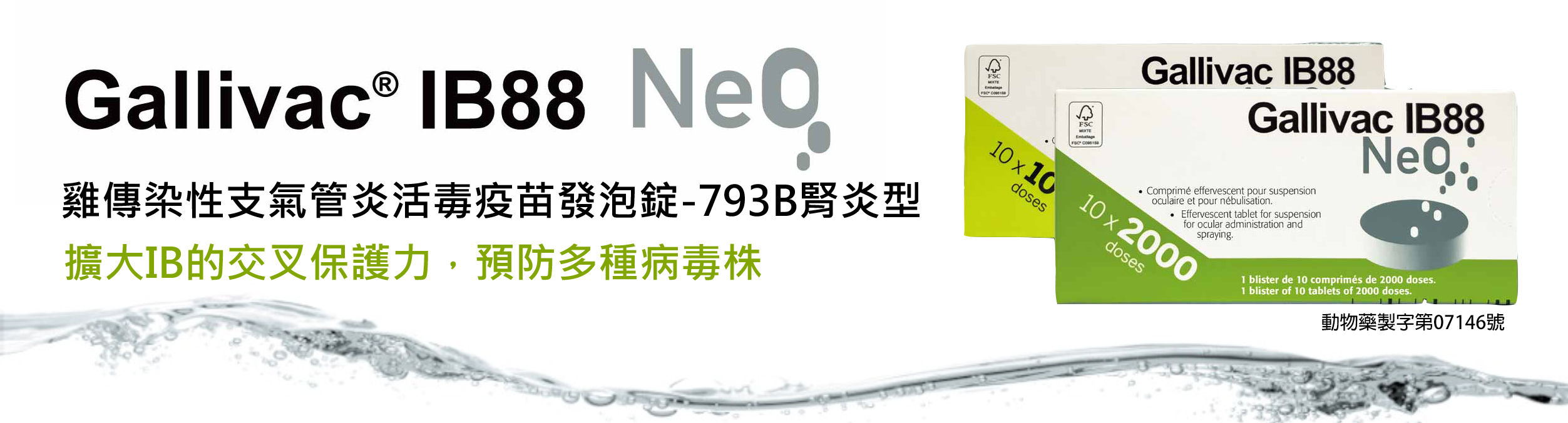 Gallivac IB88 NeO 雞傳染性支氣管炎活毒疫苗發泡錠 | Boehringer Ingelheim