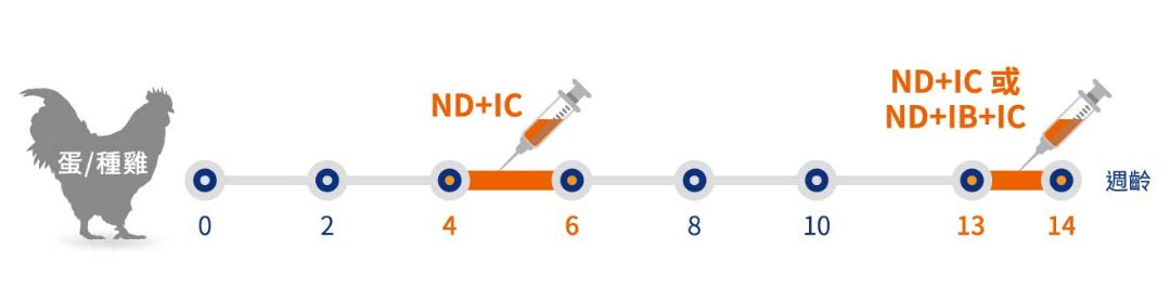 Volvac AC Plus系列疫苗 | Boehringer Ingelheim