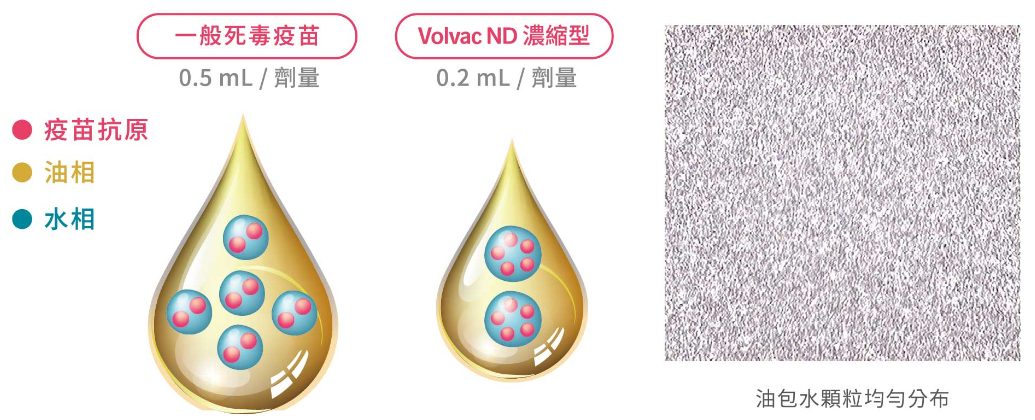 Volvac ND Conc. KV(濃縮) | Boehringer Ingelheim TW