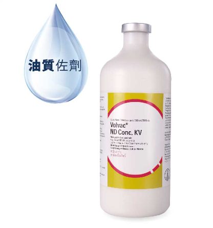 Volvac ND Conc. KV(濃縮) | Boehringer Ingelheim TW