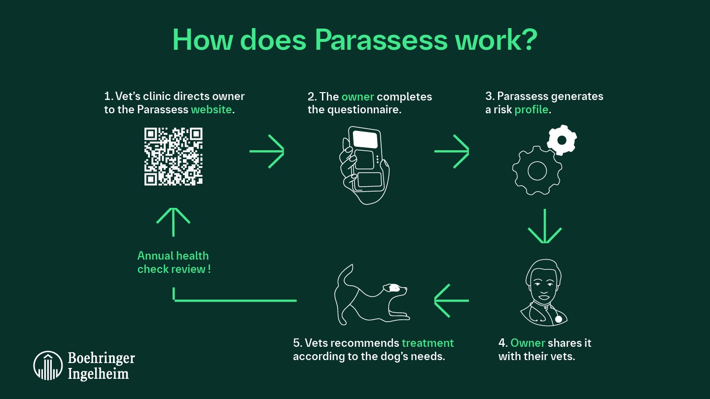 What's the risk of parasites in your dog? | Boehringer Ingelheim UK