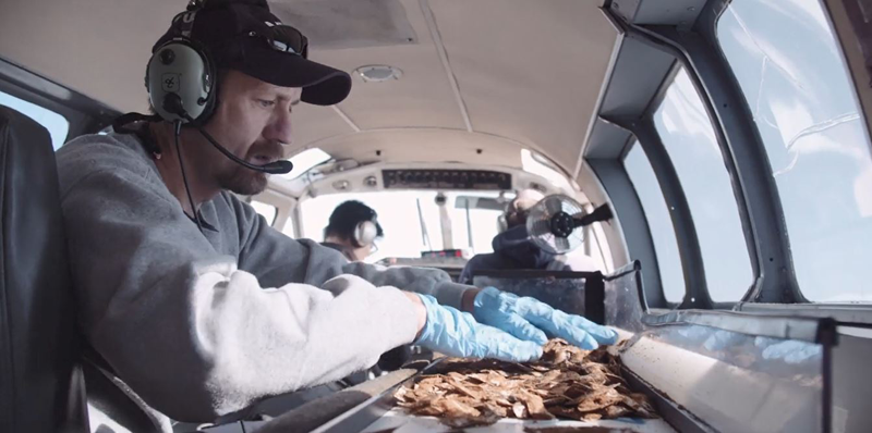 Pets | Boehringer Ingelheim US