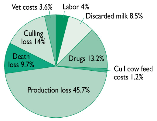 Coliform Mastitis: the facts to know | Boehringer Ingelheim US