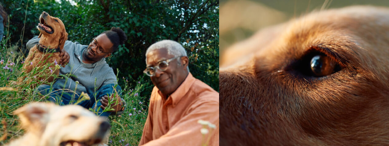 Life forward - Boehringer Ingelheim unveils its evolved company brand ...