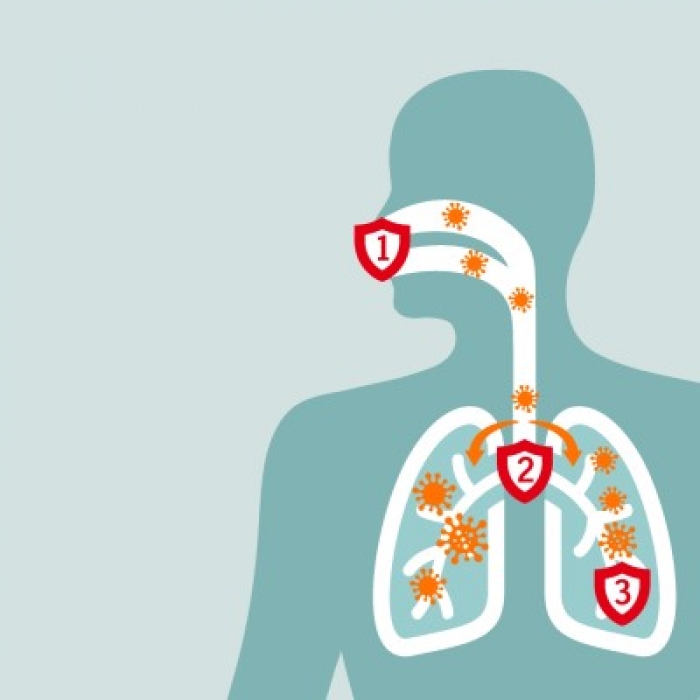 Fighting COVID-19 Approach | Downloads | Boehringer Ingelheim US