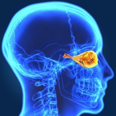 Science Focus | Boehringer Ingelheim