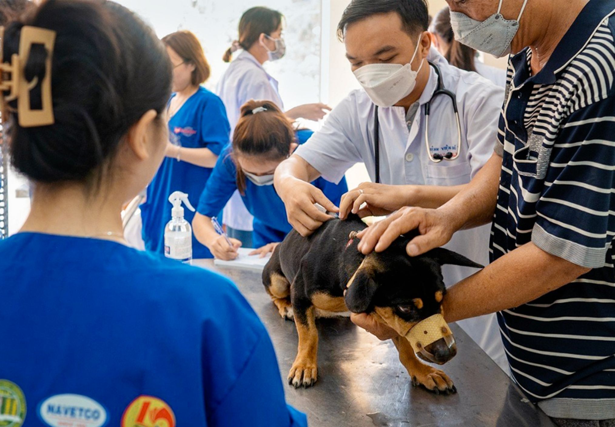 Moving towards a rabies-free world | Imagine | Boehringer Ingelheim